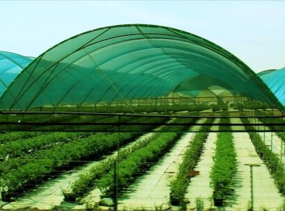An Essential Guide to Agricultural Shade Nets by Indonet Group
