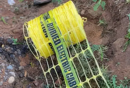 Safety Net For Construction | Green Safety Net | India